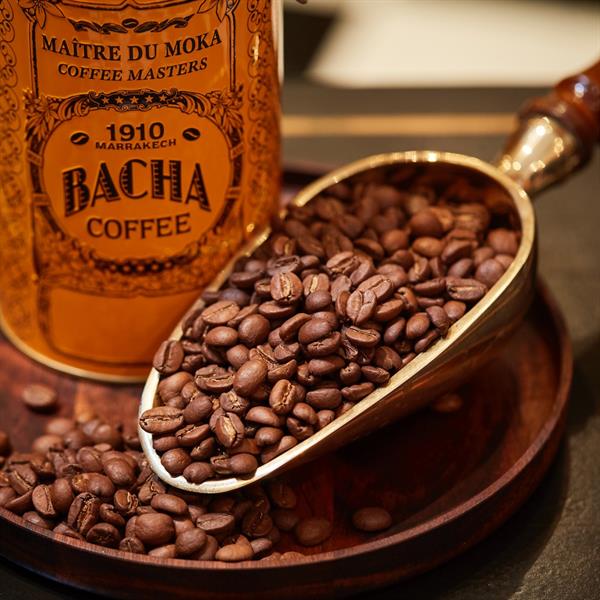 Brazil | Carmo Coffee | Single Origin | Bacha Coffee